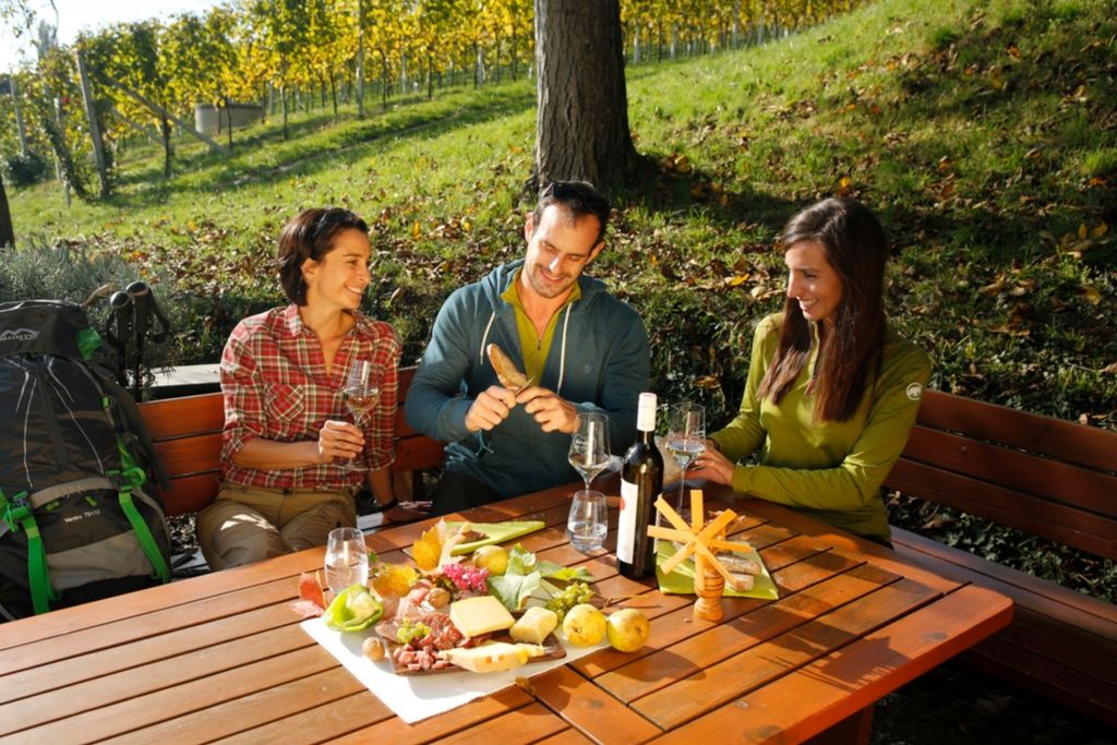 Vier der schönsten Weinwanderungen zum Genießen - Indenbergen.de
