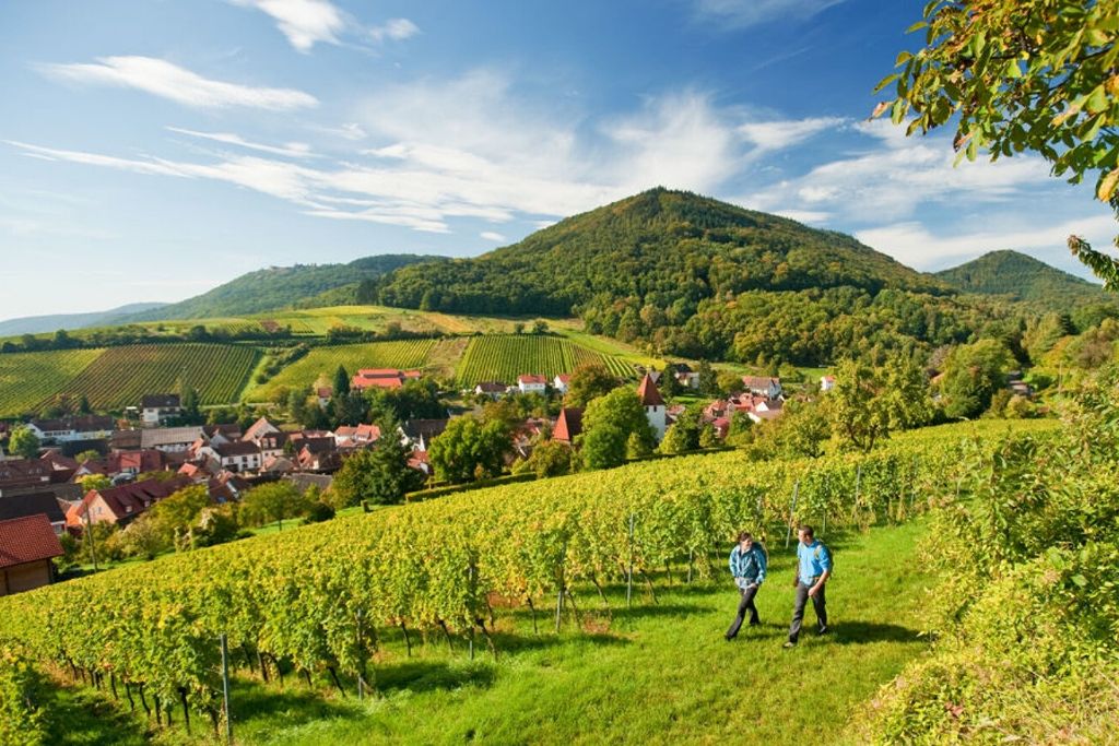 Wandern im Pfälzerwald: 3 Fernwanderwege im größten Waldgebiet ...